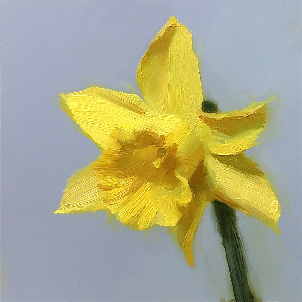 Daffodil Study – Clague Fine Art